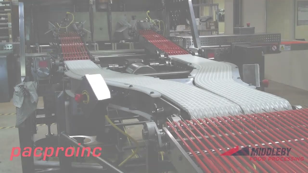 Dual-Lane ProStax Starwheel Stacker: Deli Meat Solutions - Pacproinc